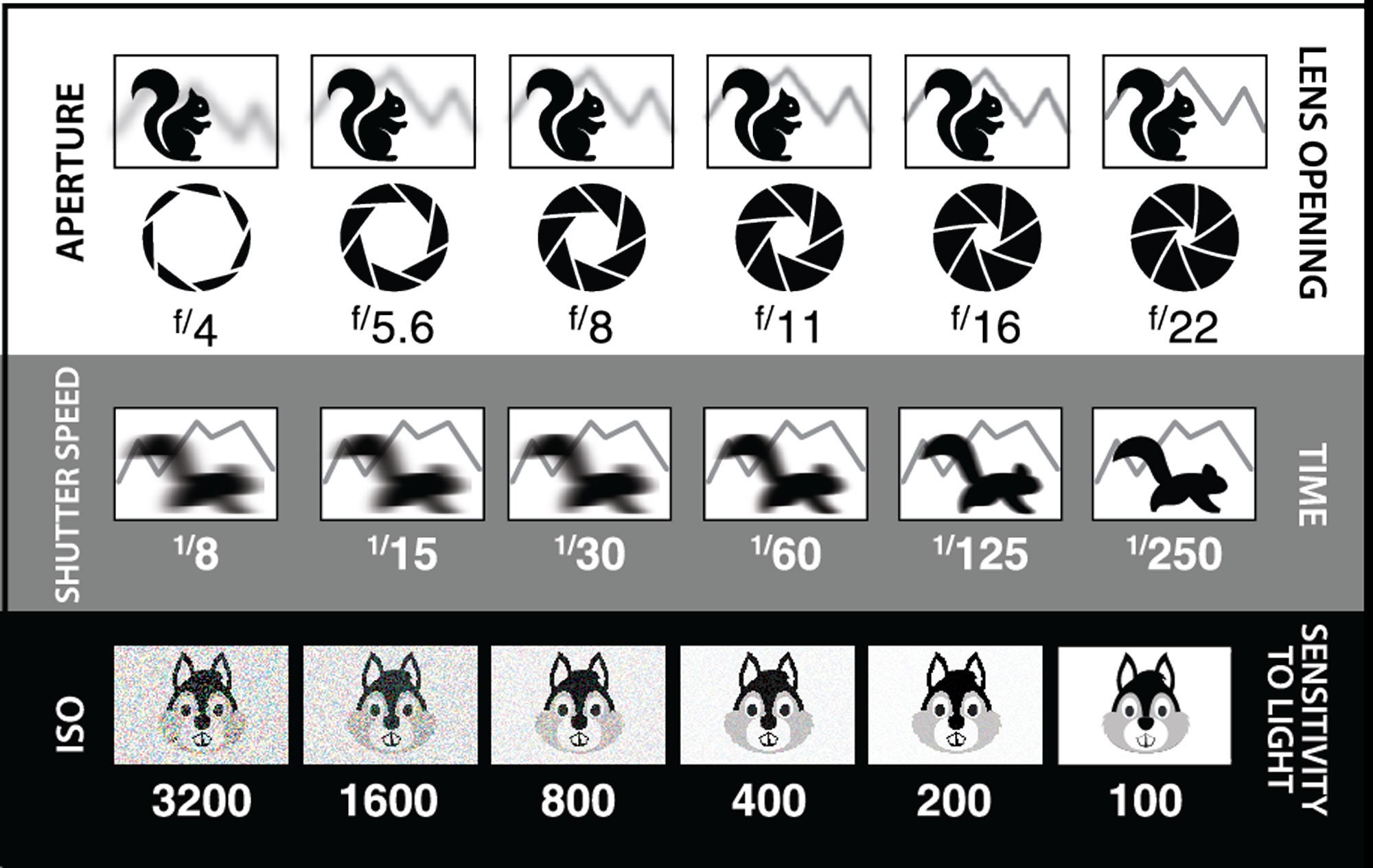 Dslr/mirrorless Photography cheat Sheet Credit - Etsy Canada