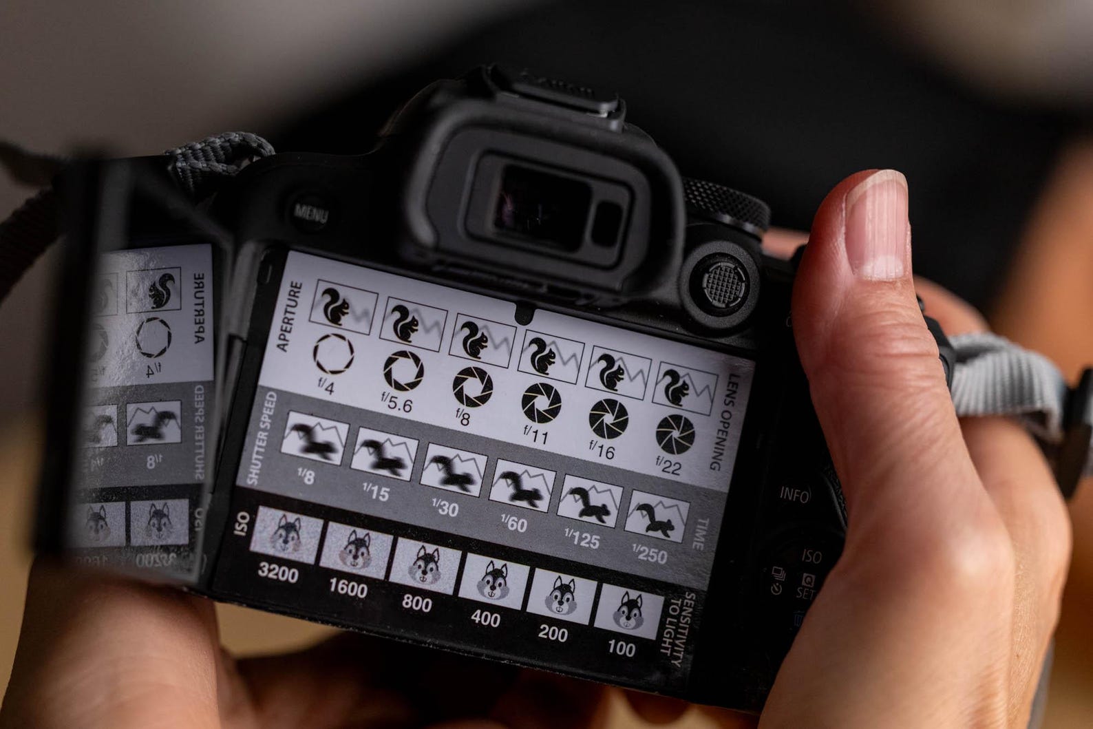 Dslr/mirrorless Photography "cheat Sheet" STICKER Photo Reference Card ...