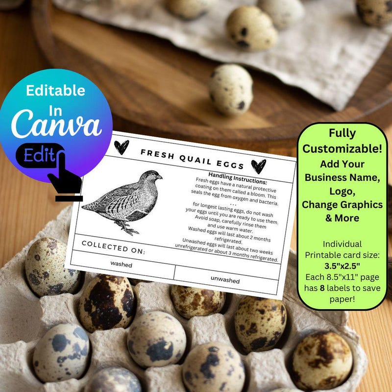 Quail Stickers - Etsy