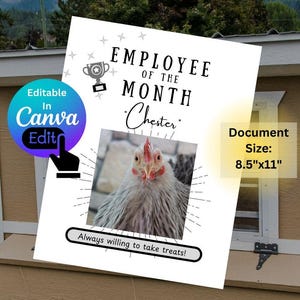 Editable Chicken Employee of the Month Certificate Template (digital ...