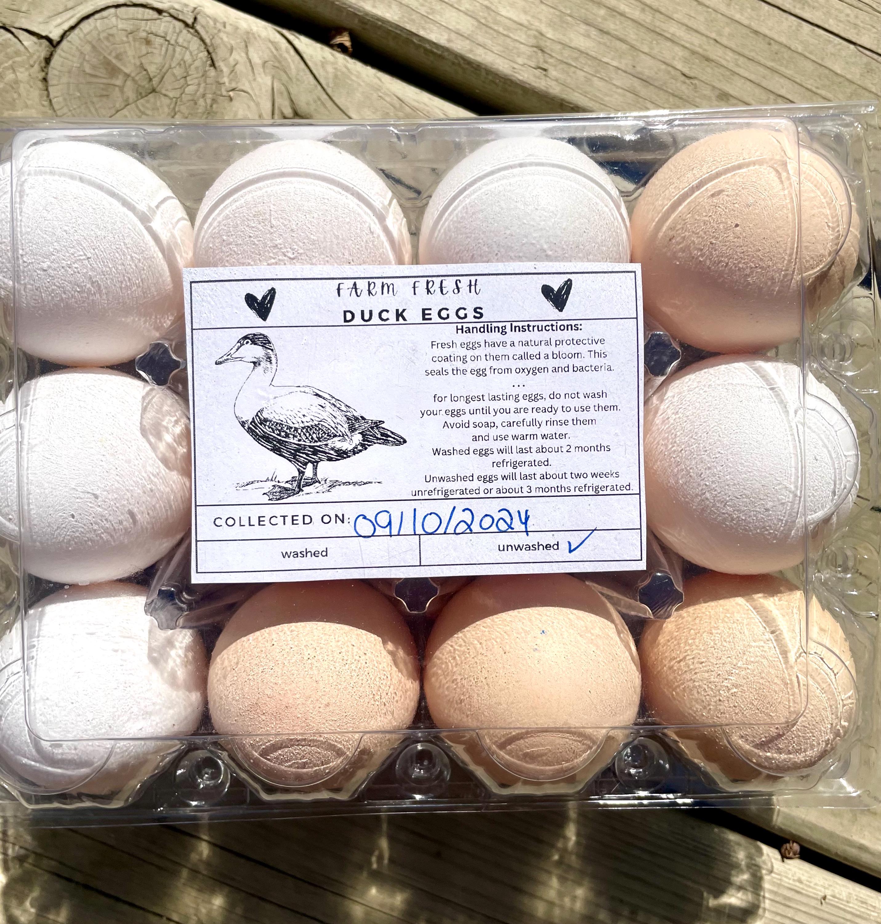 Duck Egg Carton Insert: Farm Fresh Egg Handling Instructions (PDF ...