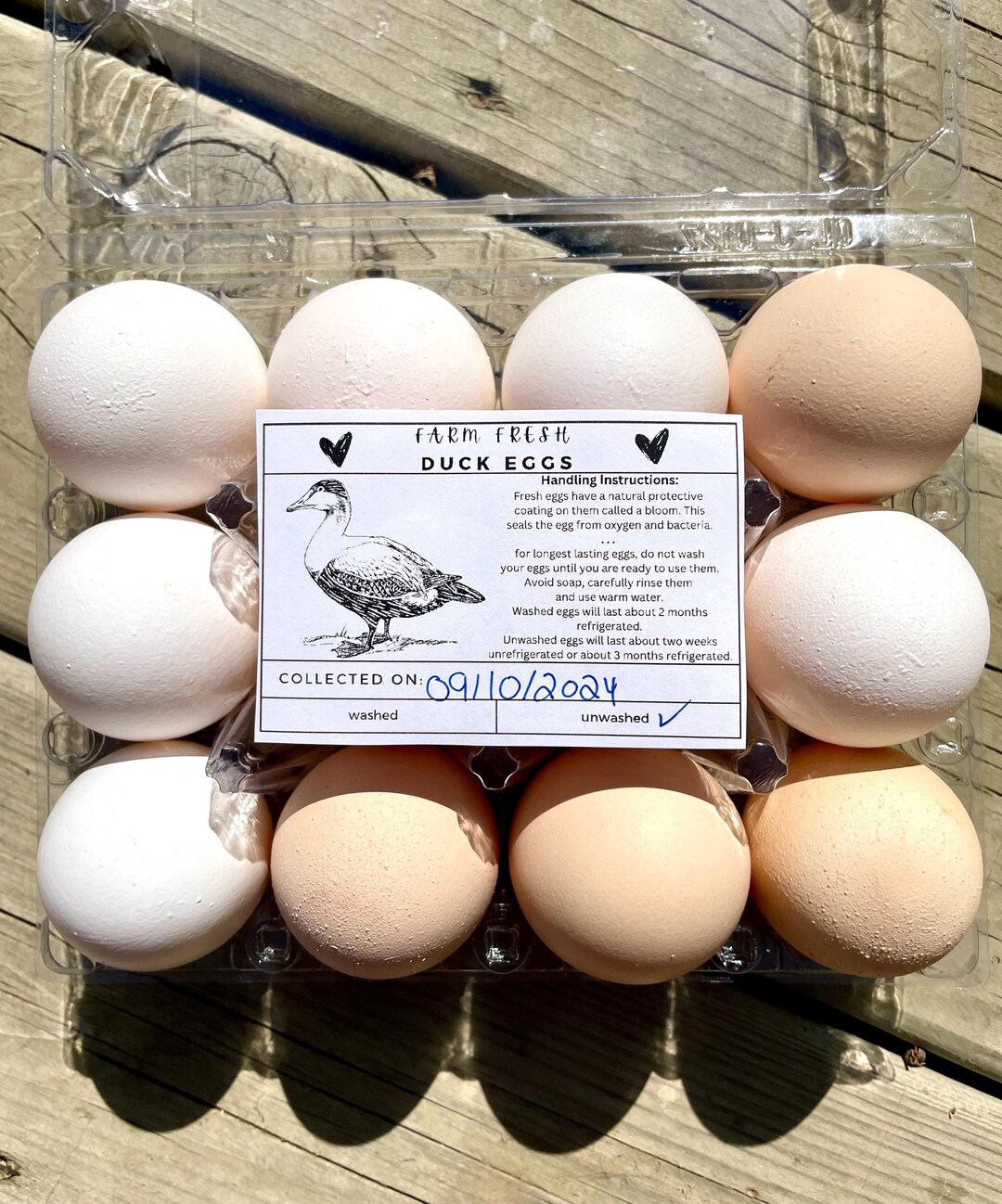 Duck Egg Carton Insert: Farm Fresh Egg Handling Instructions (PDF ...