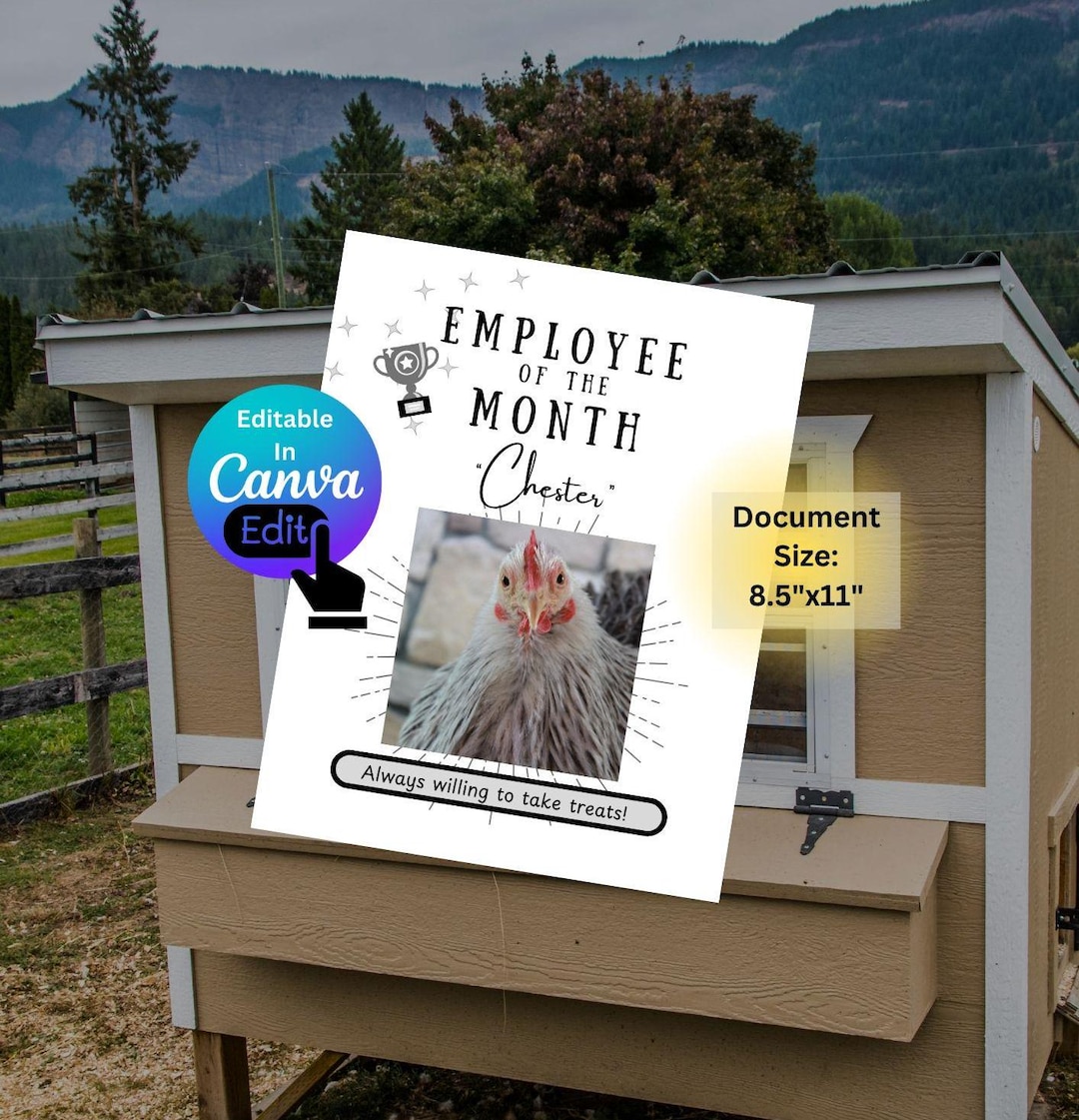 Editable Chicken Employee of the Month Certificate Template (digital ...