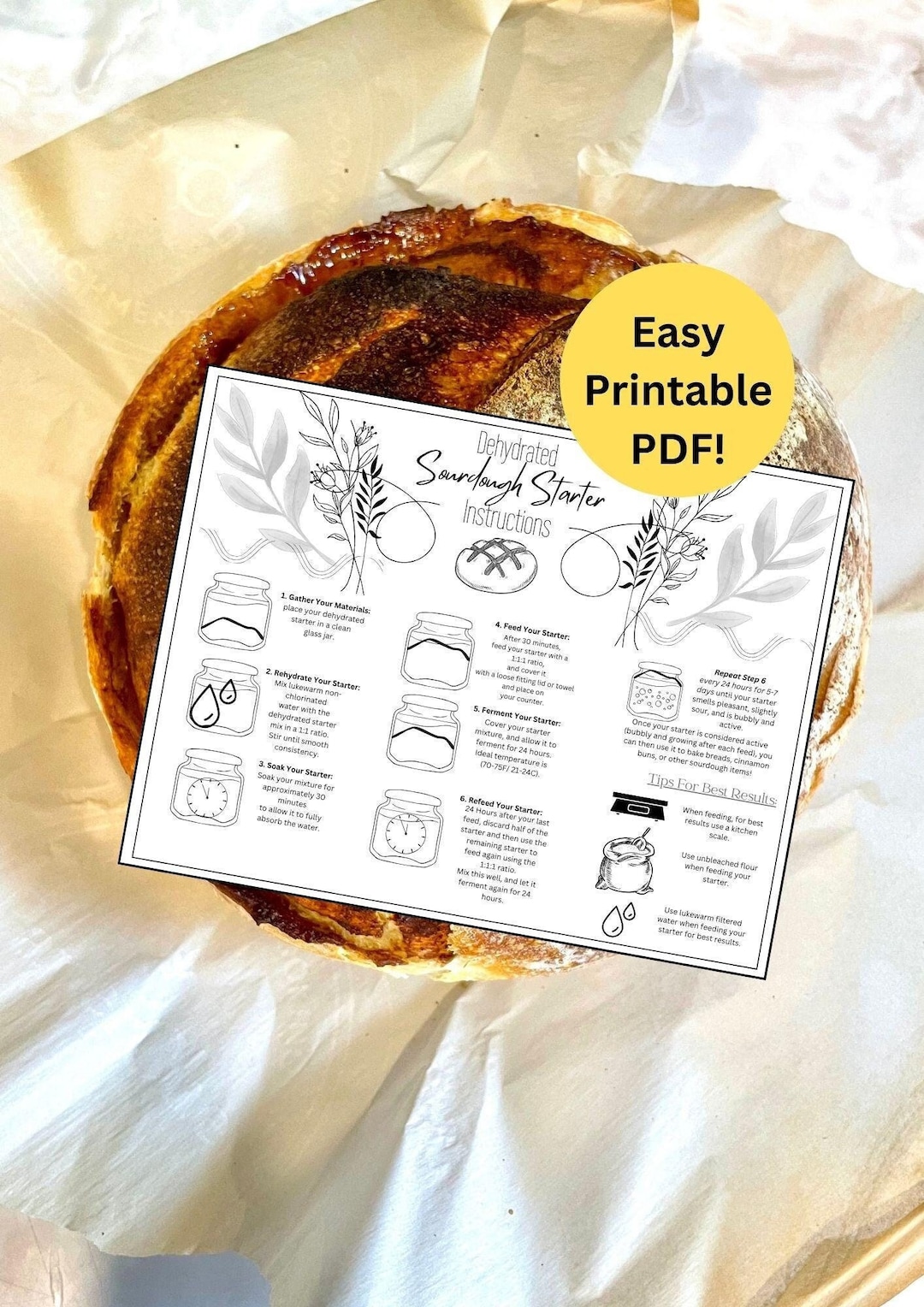 Dehydrated Sourdough Starter Instructions, Printable Sourdough ...