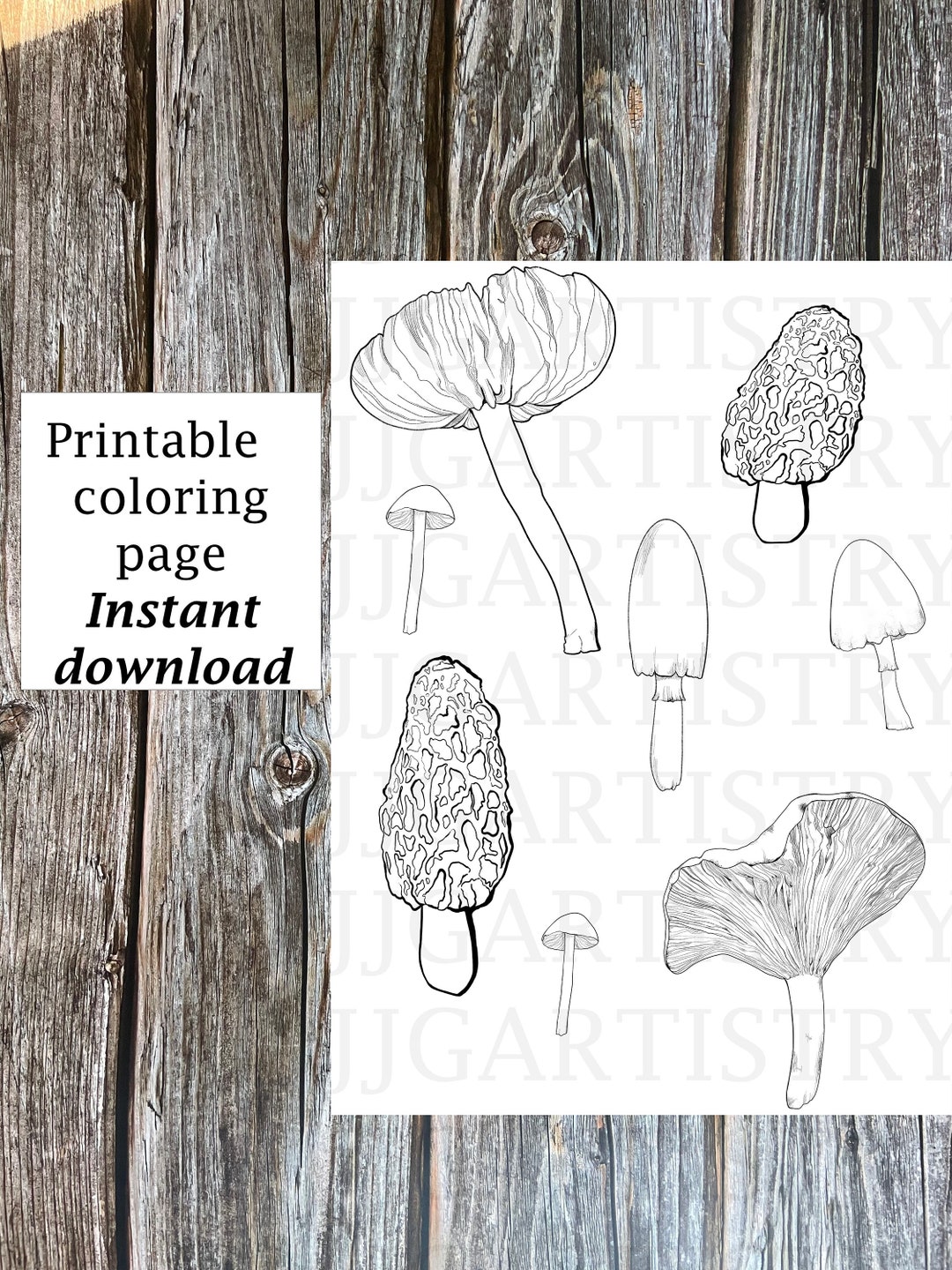 Mushroom Coloring Page, Morel Mushroom Coloring Page for Kids ...