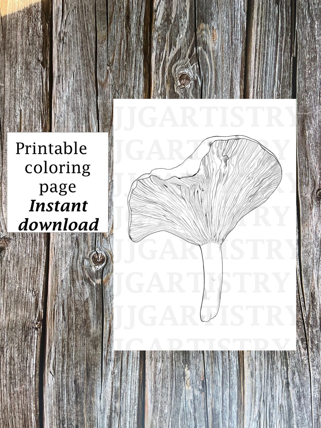 Mushroom Coloring Page: Printable Foraging Art (digital Download) - Etsy