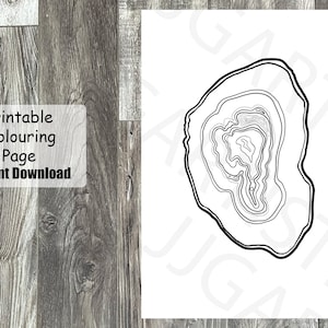 Geode Crystal Coloring Page: Printable Agate Art (digital Download) - Etsy