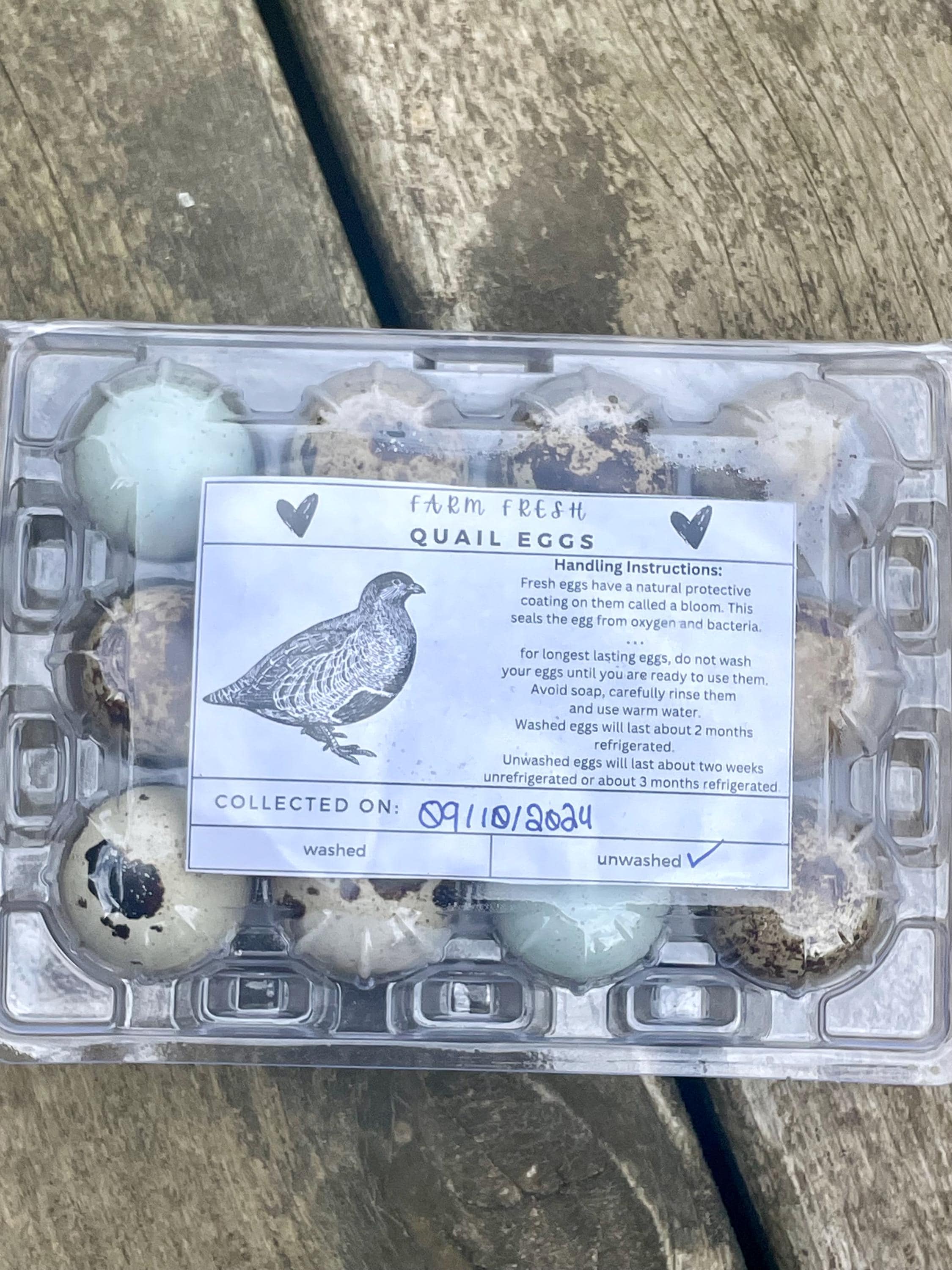 Editable Quail Egg Carton Insert: Handling Instructions Label (PDF ...