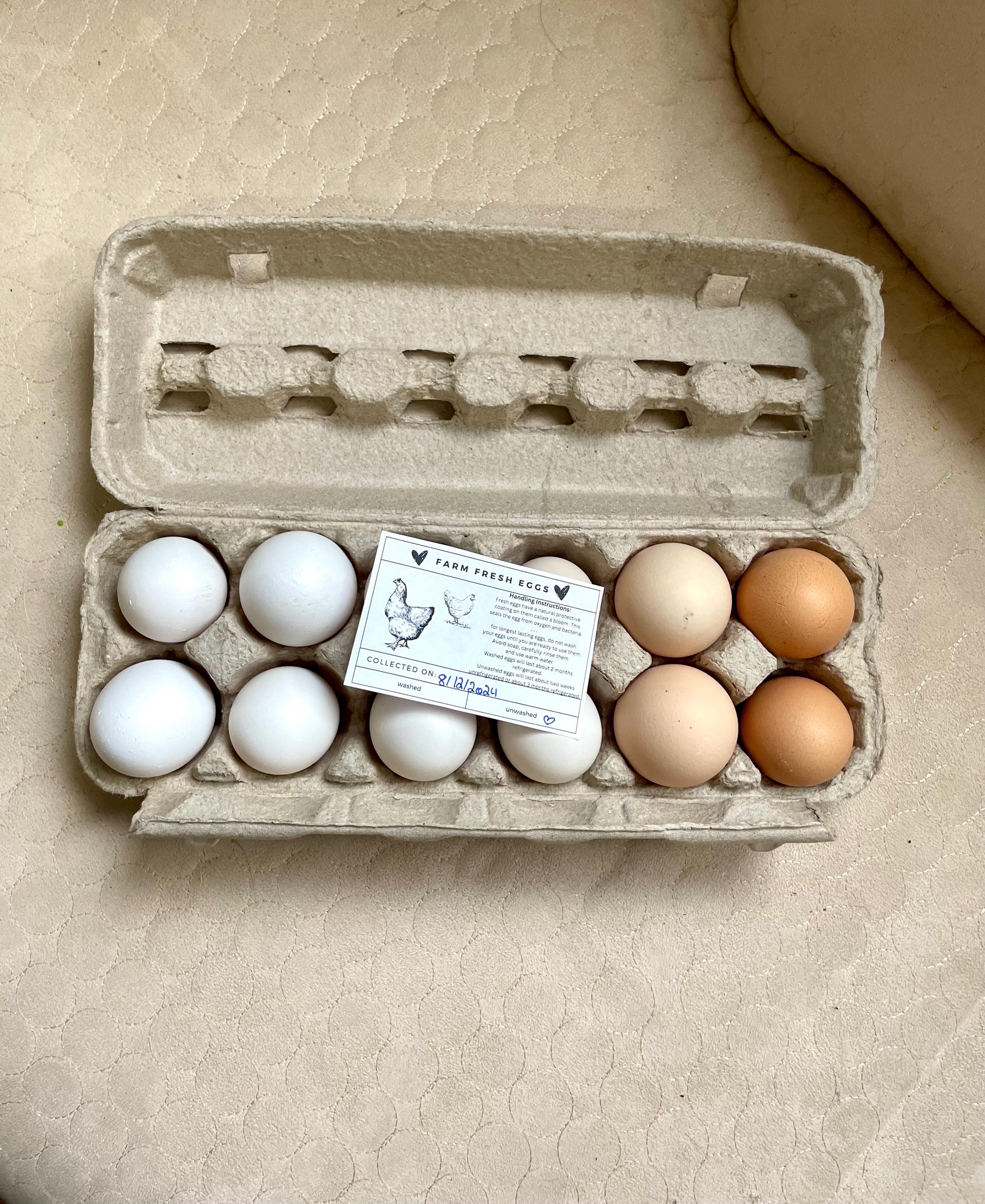 Editable Farm Fresh Egg Carton Labels: Unwashed Egg Handling ...