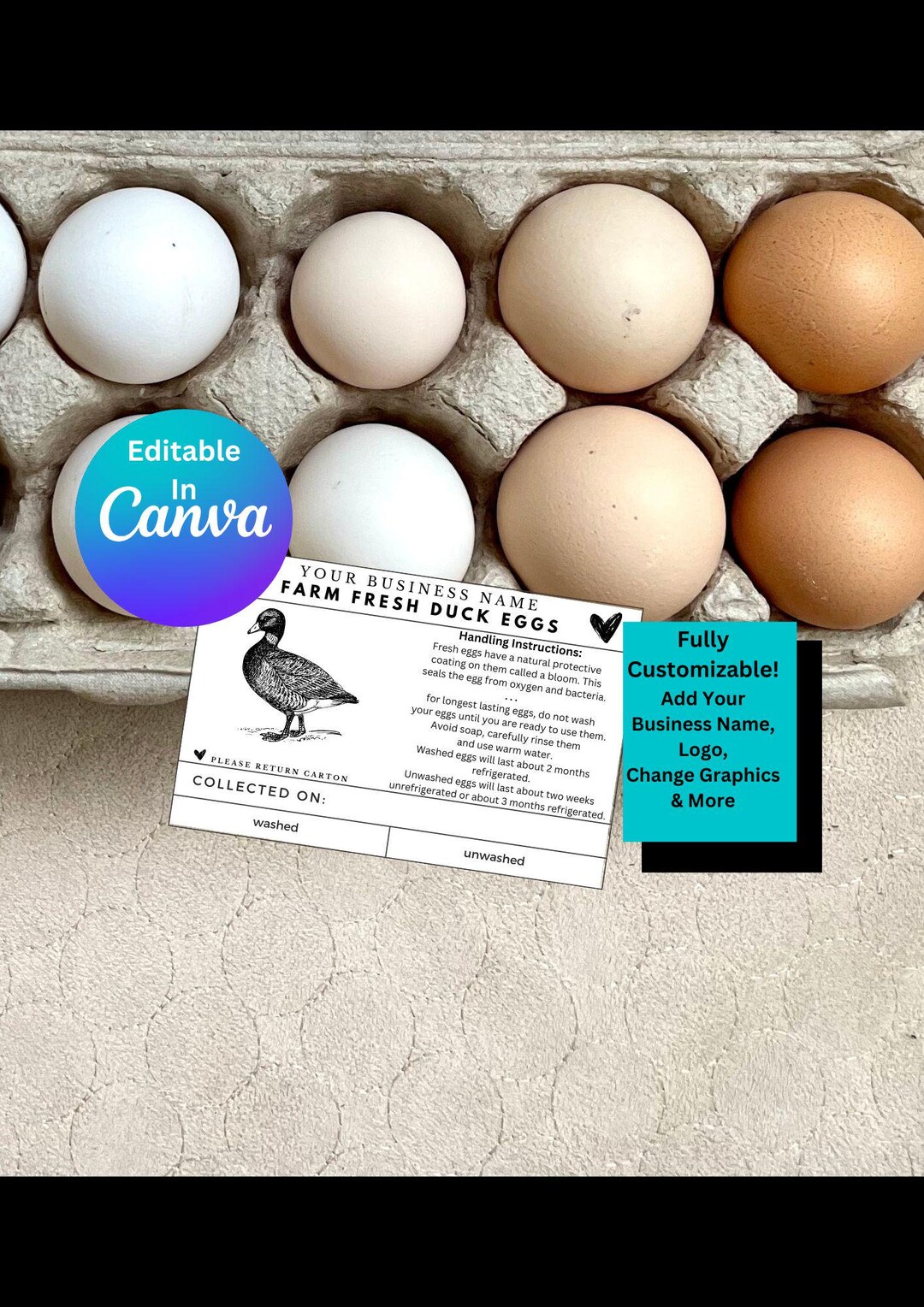 Editable Duck Egg Carton Insert: Farm Fresh Egg Handling Instructions ...