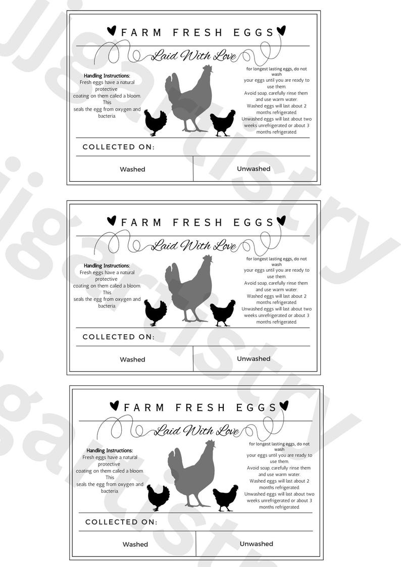 Farm Fresh Egg Carton Labels: Handling Instructions (digital Download ...