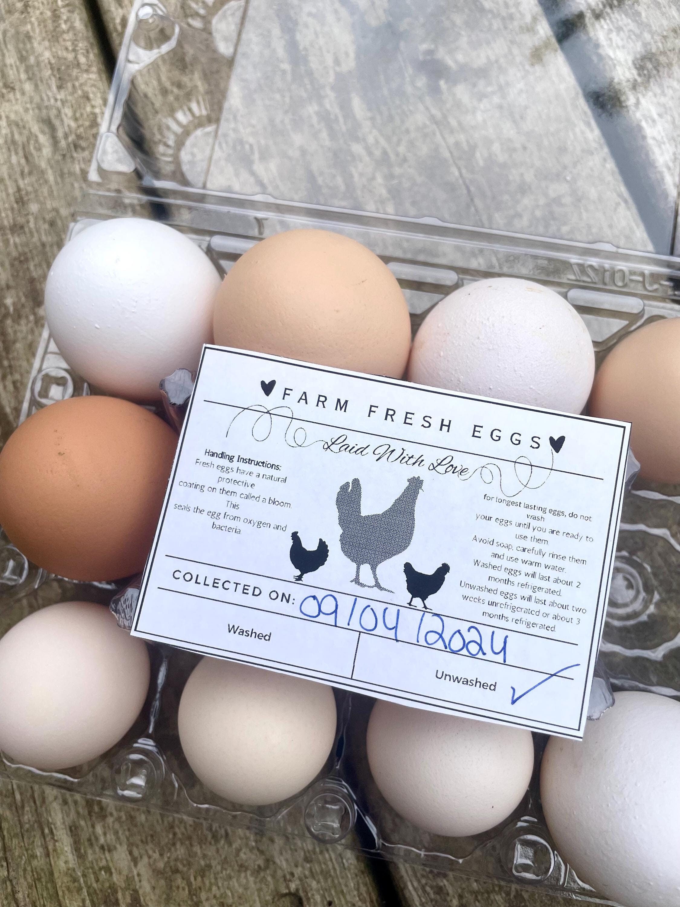Farm Fresh Egg Carton Labels: Handling Instructions (digital Download ...