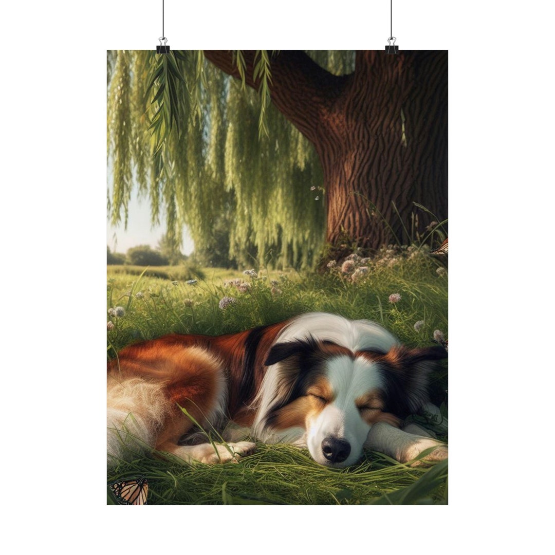 Border Collie Poster - Etsy