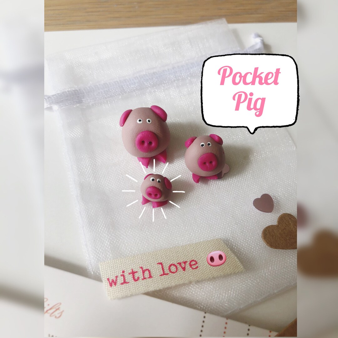 Pocket Pig, Pig Gift, Peppa Pig Gift, Pet Pet, My Little Piggy ...