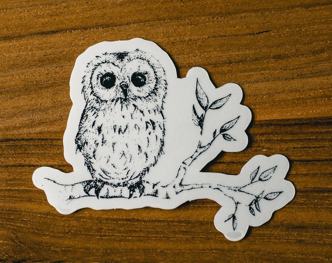 Transparent Baby Owl Sticker Hand Drawn Owl Sticker Clear Decal Laptop ...