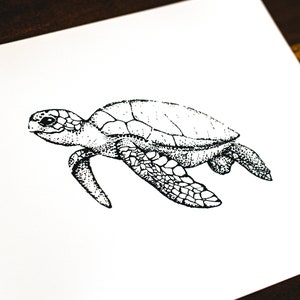 Hand-drawn Sea Turtle Art Print: Minimalist Nursery Decor - Etsy