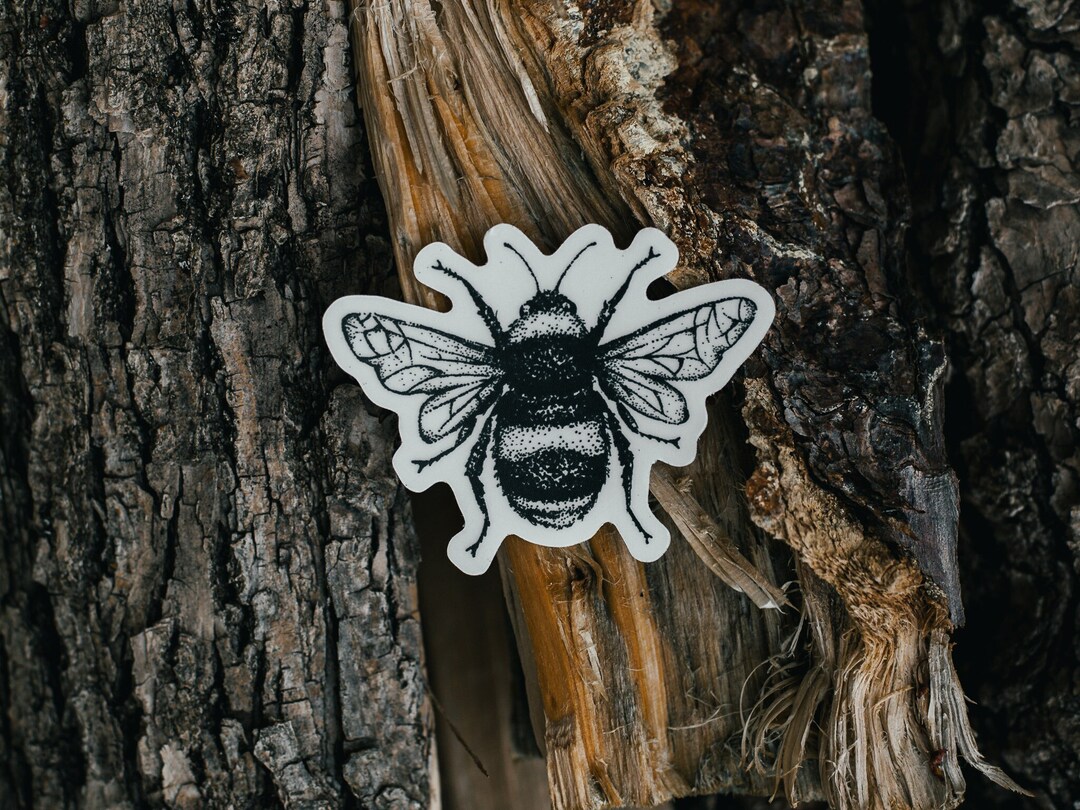 Transparent Honey Bee Sticker Hand Drawn Sticker Transparent Decal ...