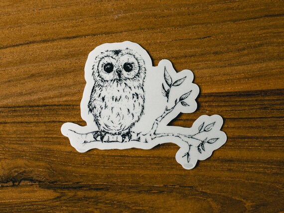 Transparent Baby Owl Sticker Hand Drawn Owl Sticker Clear - Etsy