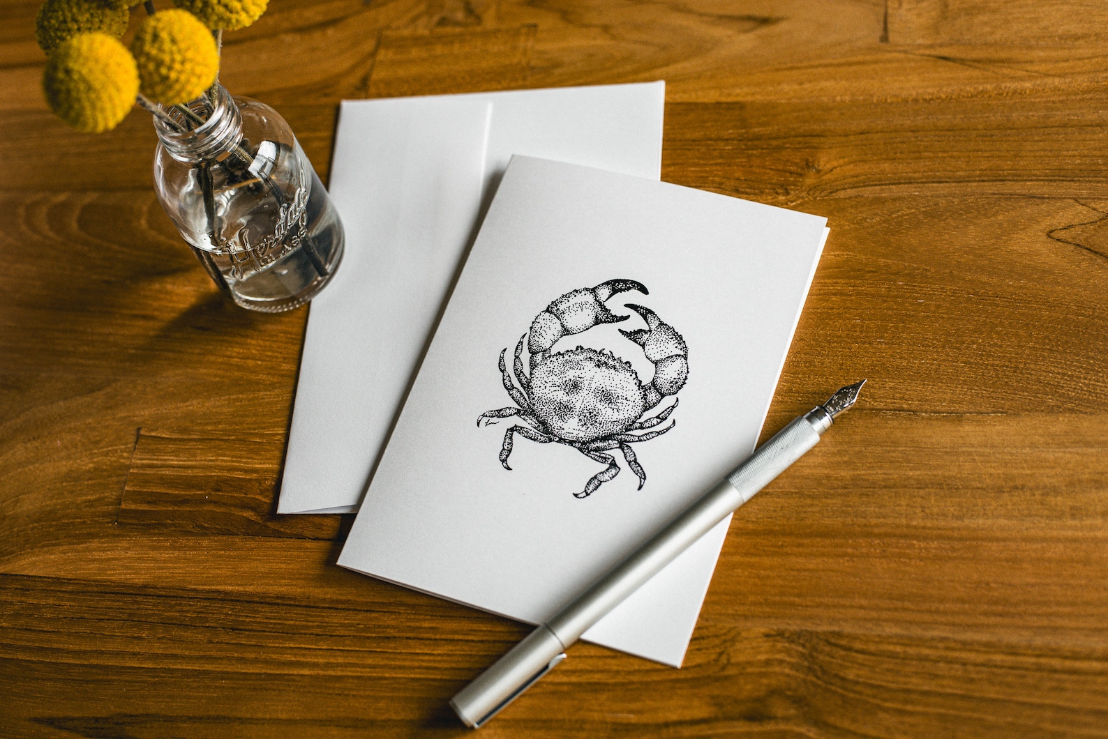 Marine Life Greeting Card Set: Black and White Ocean Animal Art - Etsy
