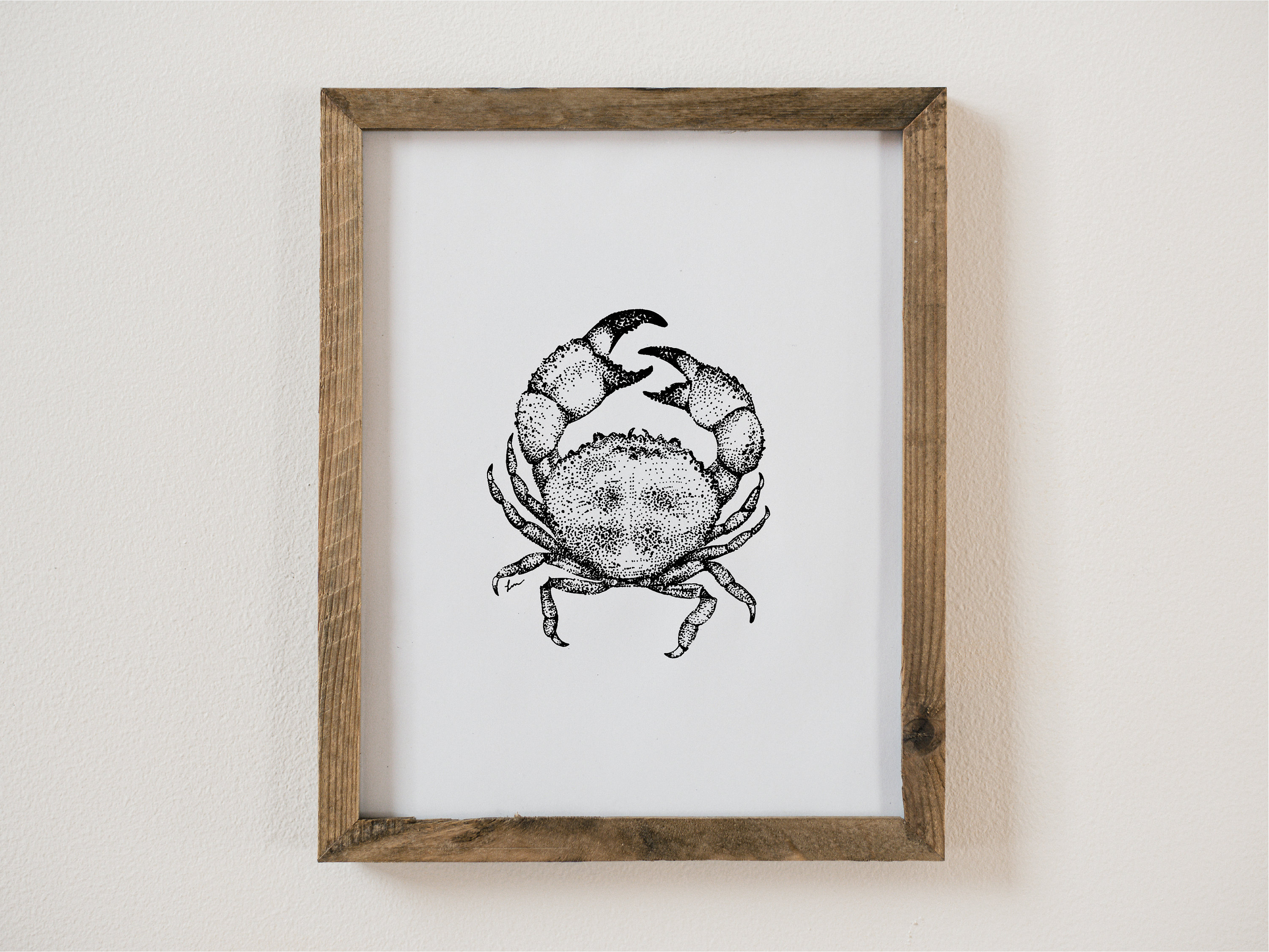 Crab On Beach Drawing