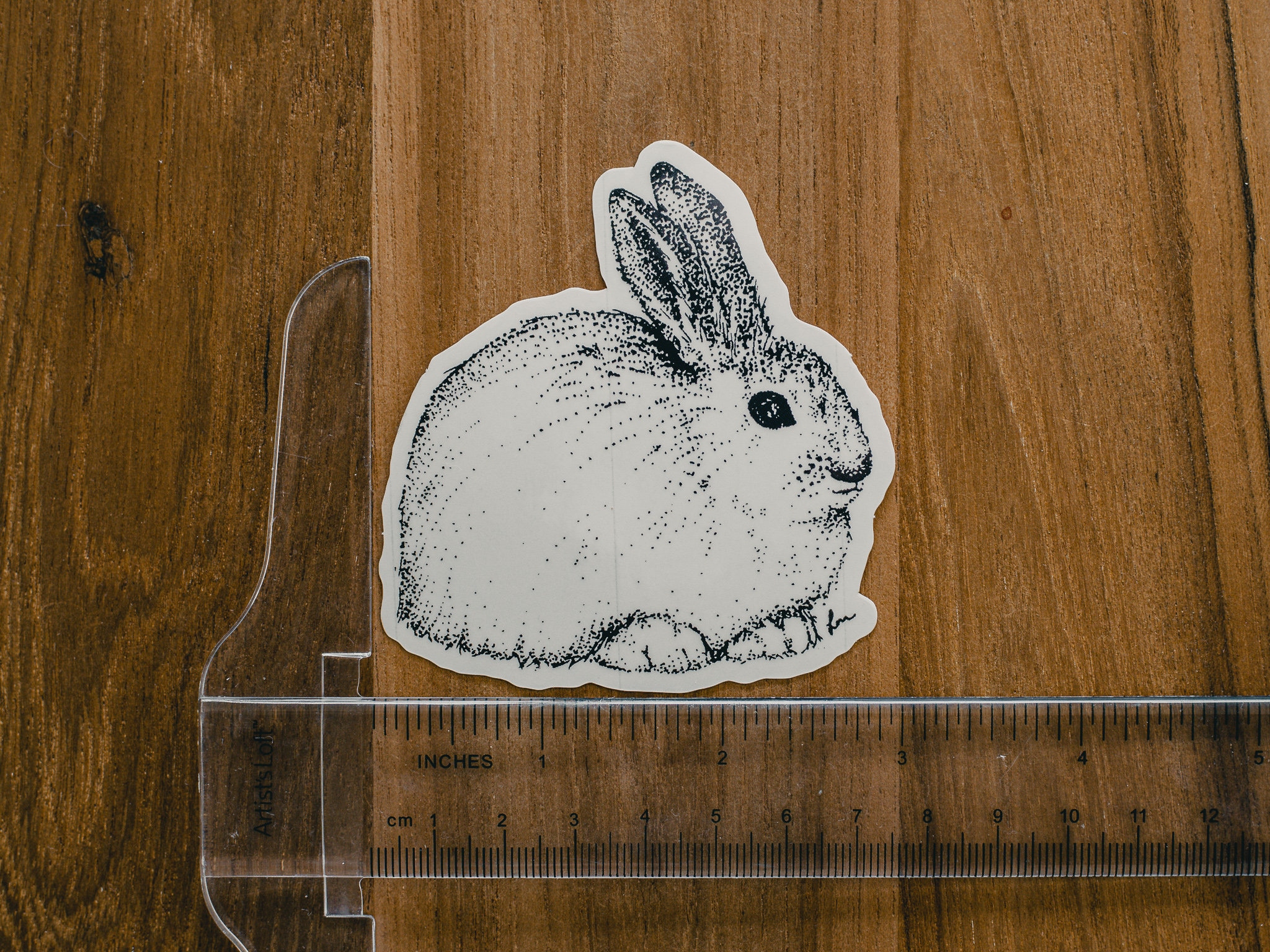 Transparent Snowshoe Hare Sticker Hand Drawn Bunny Sticker - Etsy
