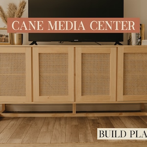 Cane media console store