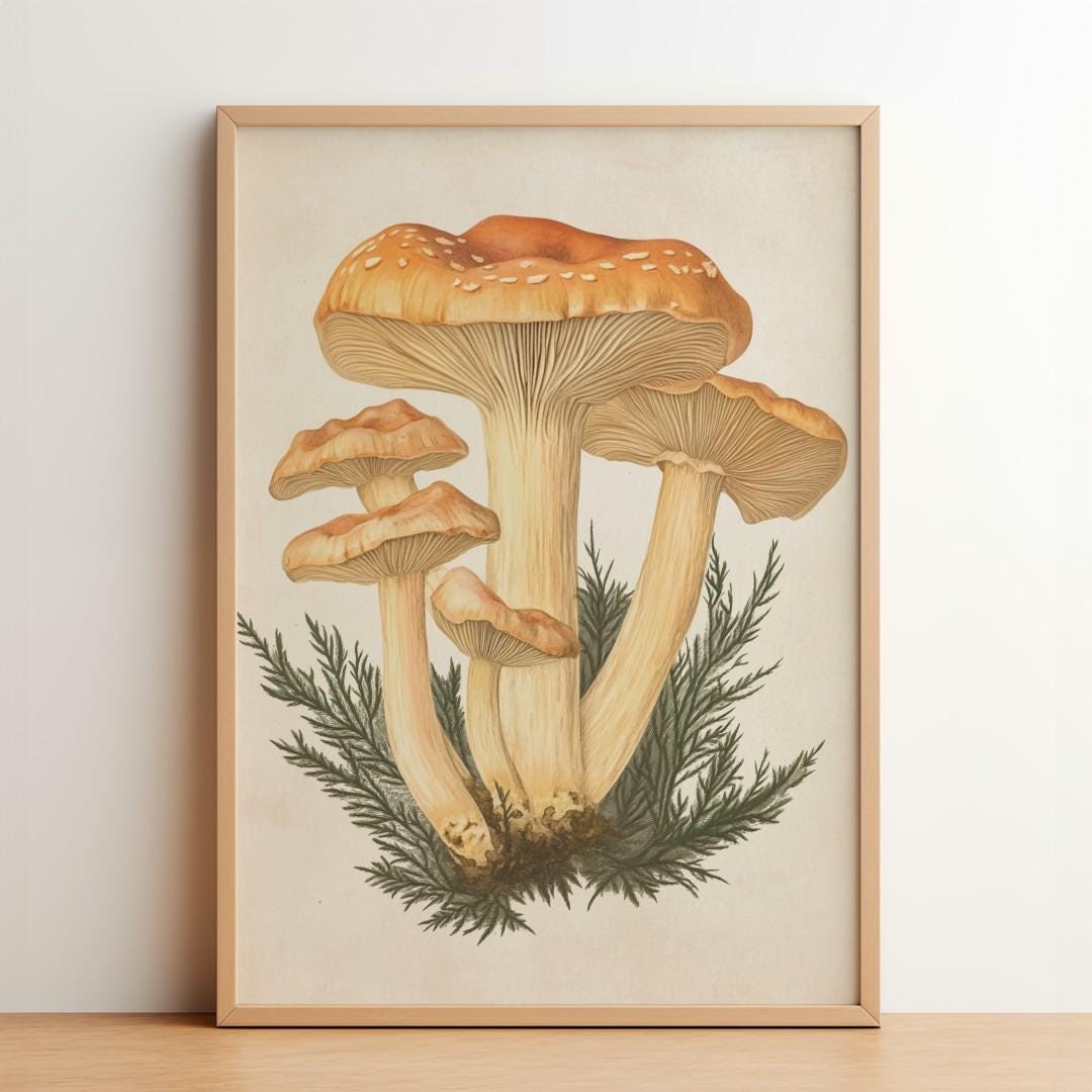Vintage Mushroom: Poster | Botanical Fungi Print | Rustic Woodland ...