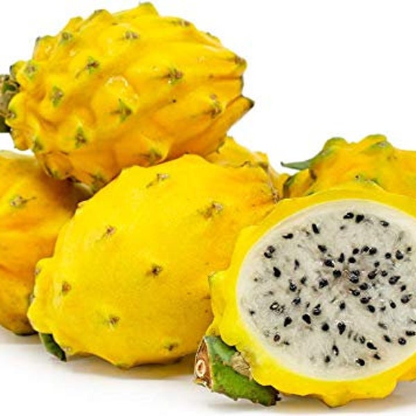 Yellow Dragon Fruit - Etsy