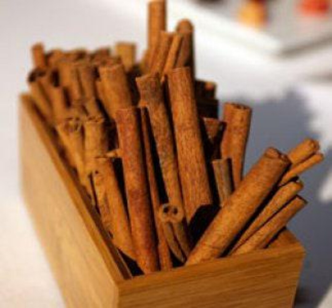 Cinnamon 1 to 2 Feet Tall Ship in 3 Gal Pot - Etsy