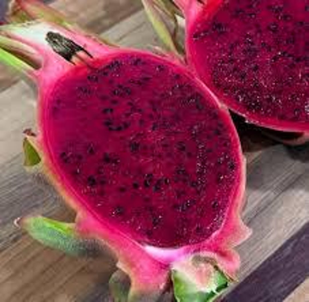 Dragon Fruit 'valdivia Roja' - 1 Feet Tall - Ship in 6" Pot - Etsy