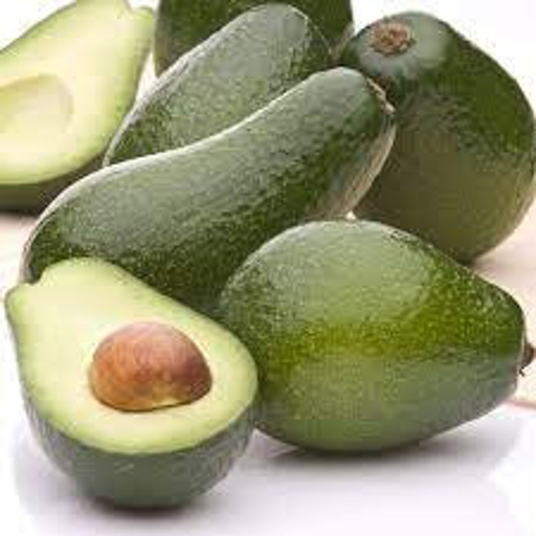 Fuerte Avocado