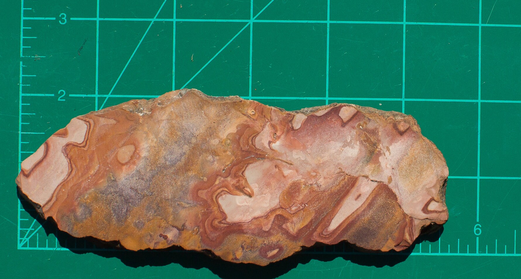 Lapidary Slab Red and Tan Wonderstone Rhyolite - Etsy