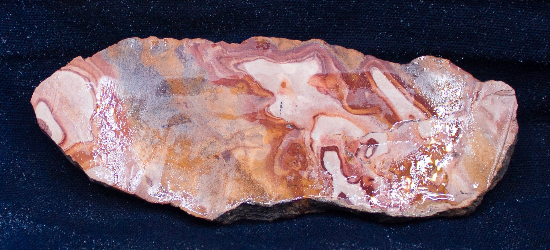 Lapidary Slab Red and Tan Wonderstone Rhyolite - Etsy