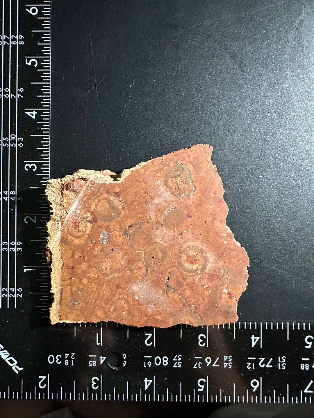 Lapidary Slab- Deep Red and Orange Orbicular Bird's Eye Rhyolite - Etsy