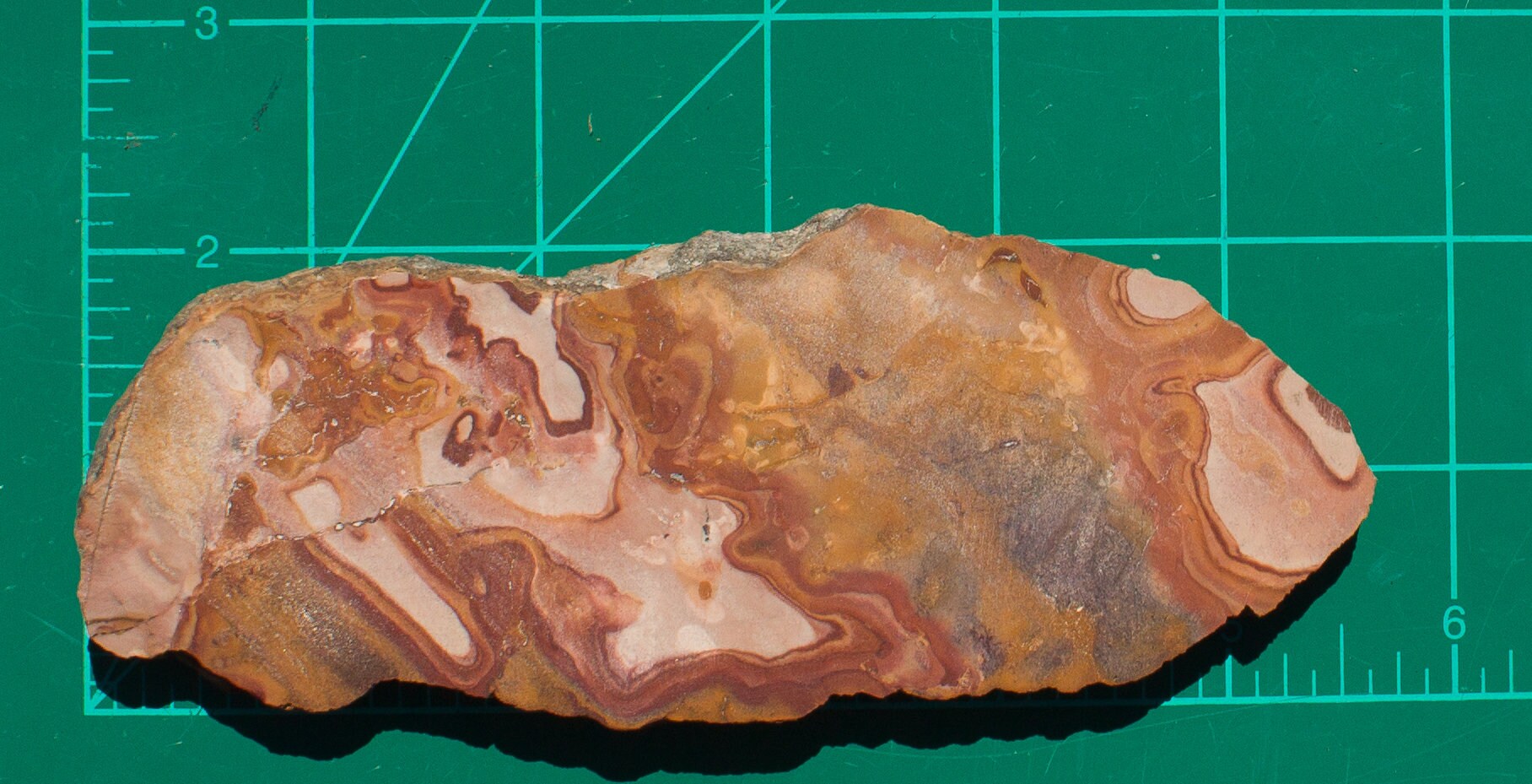 Lapidary Slab Red and Tan Wonderstone Rhyolite - Etsy
