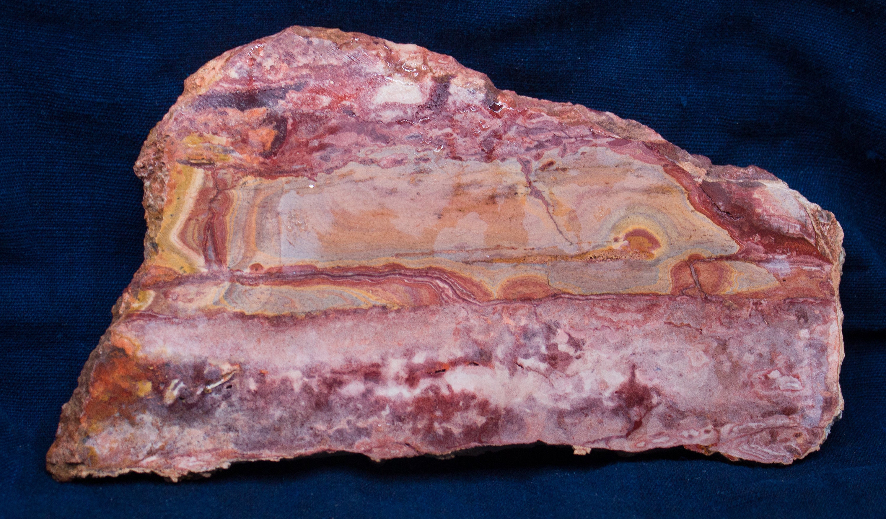 Lapidary Slab- Red, Yellow and Tan Banded Wonderstone Rhyolite - Etsy