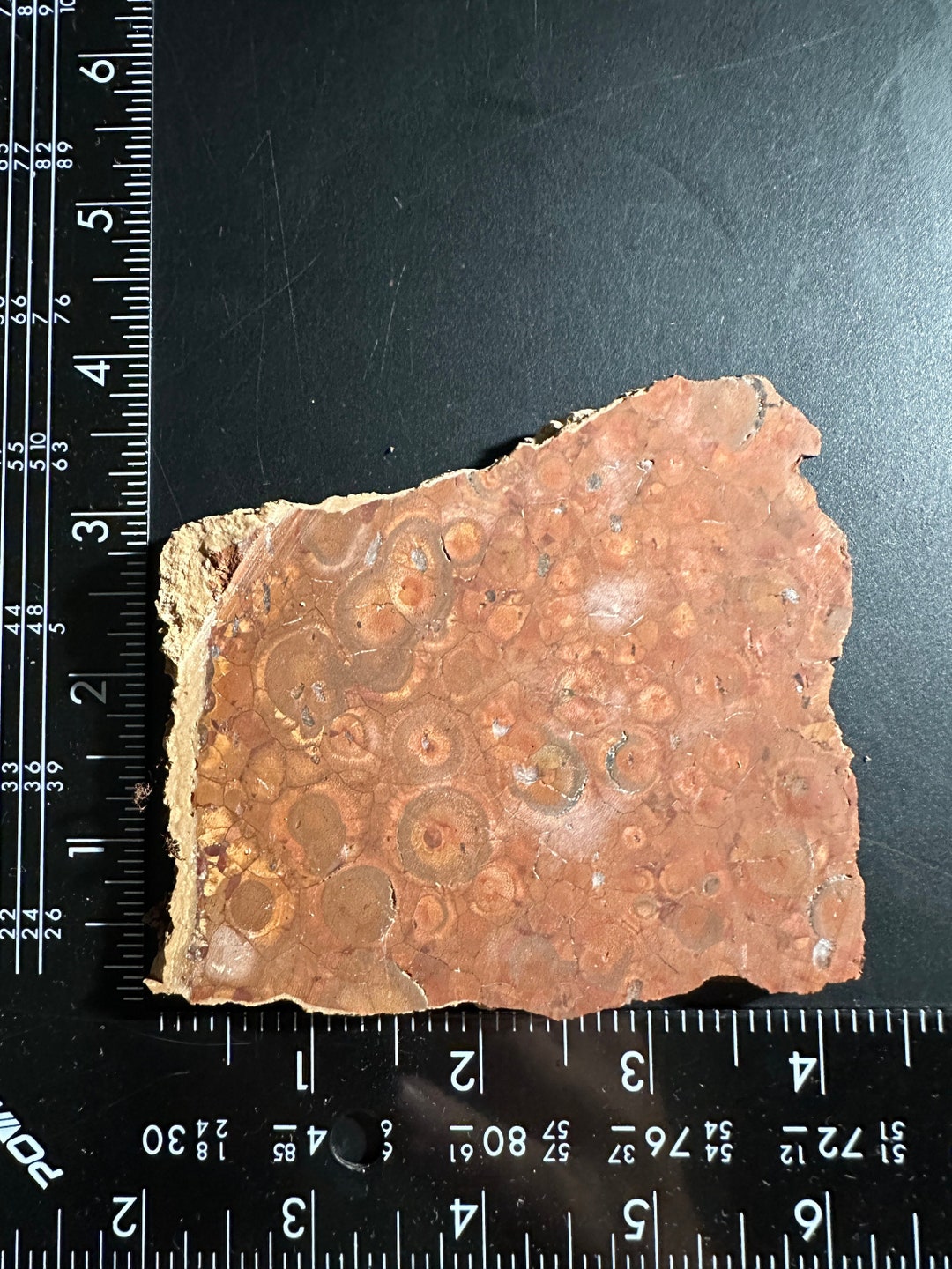 Lapidary Slab- Deep Red and Orange Orbicular Bird's Eye Rhyolite - Etsy