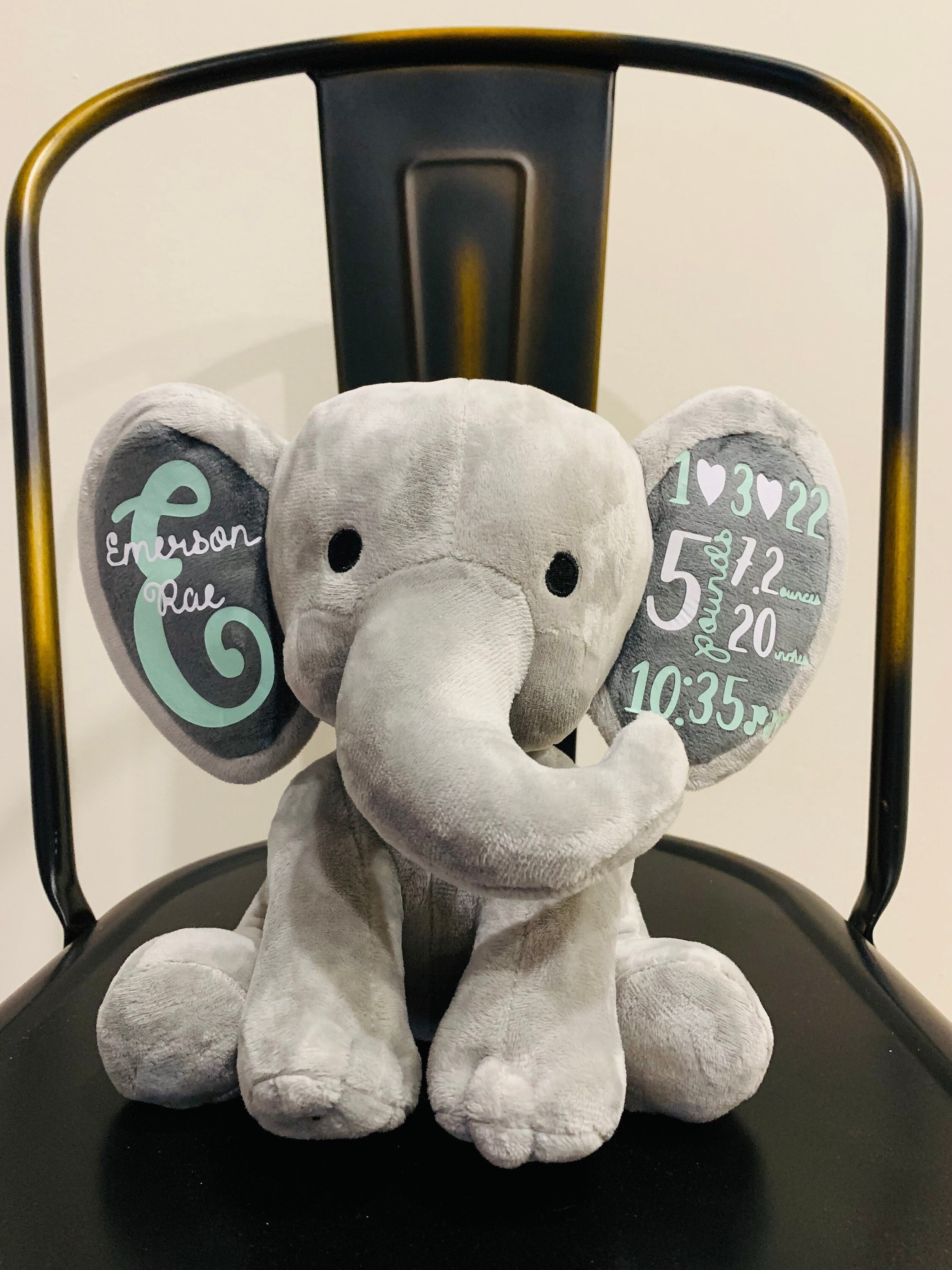 Newborn Baby Birth Stats Stuffed Animal - Etsy