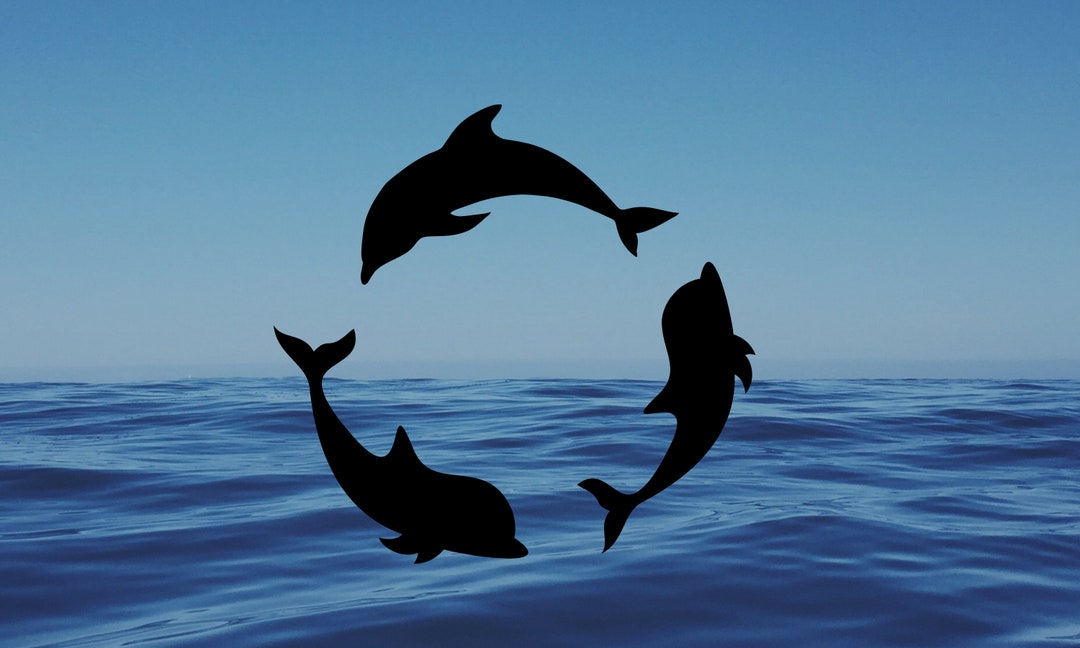 Dolphin SVG File - Dolphin Circle - Etsy