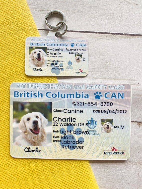 Do You Have To Register Your Dog In Bc