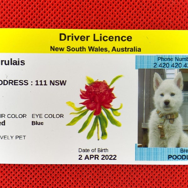 New South Wales - Etsy