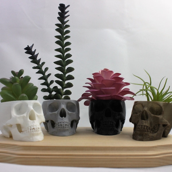 Skull Planter - Etsy