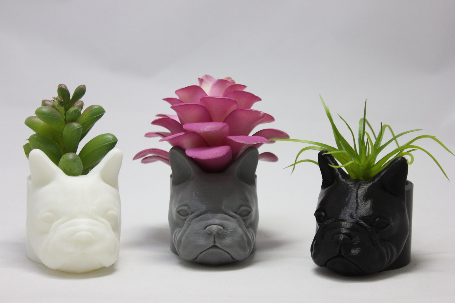 FRENCHIE the French Bulldog Mini Planter Air Plants - Etsy