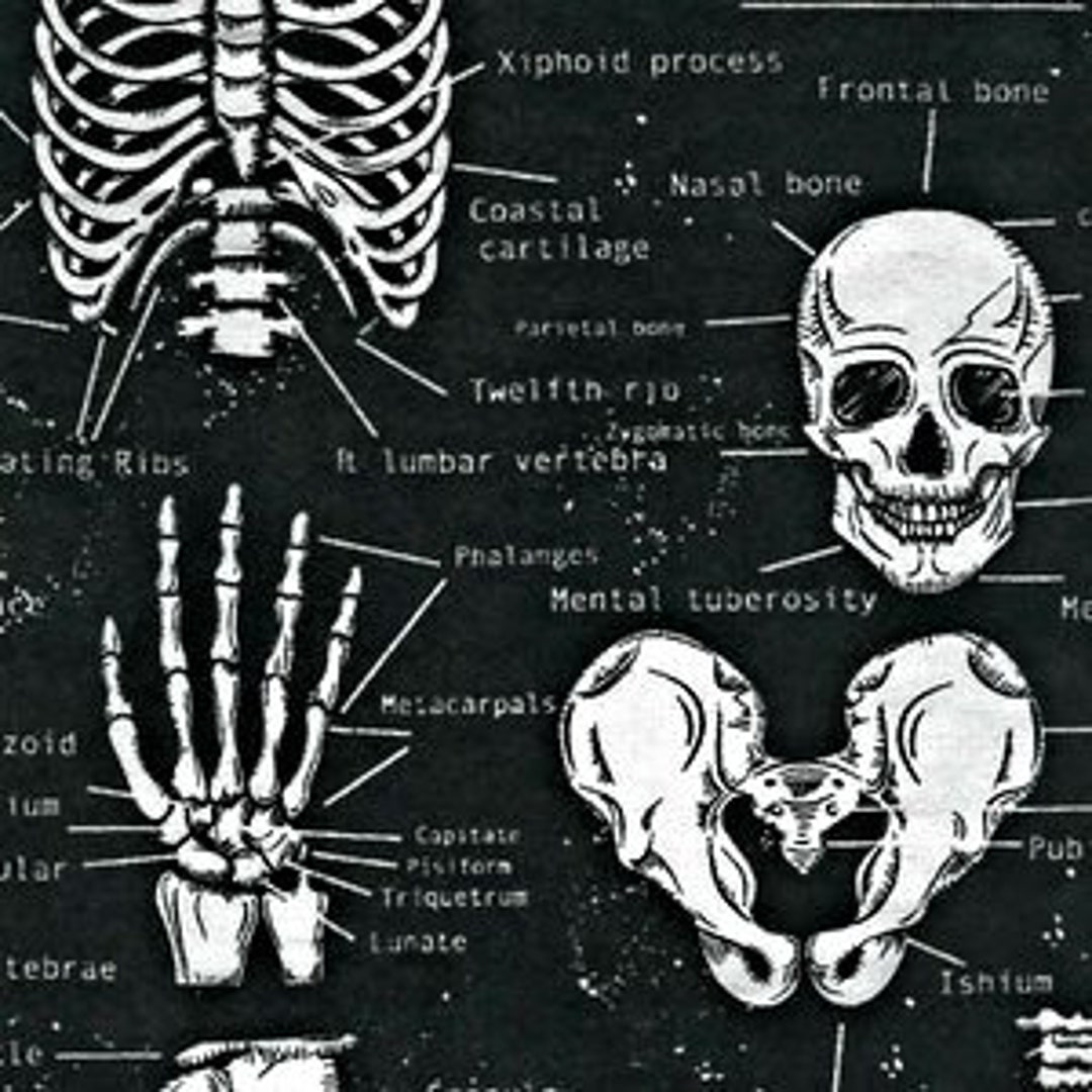 Skeleton Fabric, Bone Fabric, Glow in the Dark Realistic Bones From ...