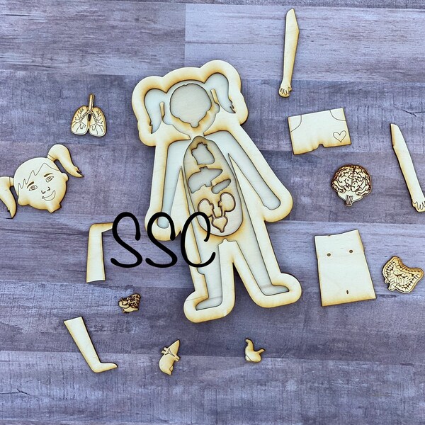 Human Body Puzzle - Etsy