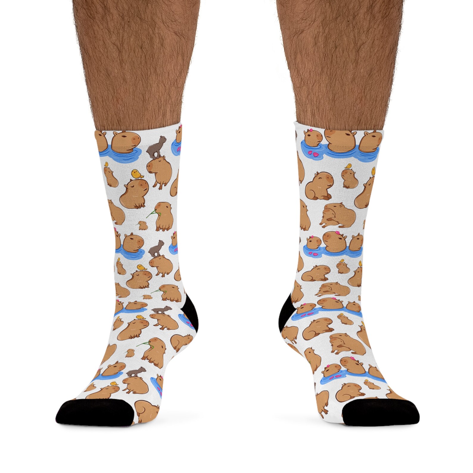 Capybara Socks, Cute Capy Socks, Kawaii Drawings of Capybaras, Gift for ...