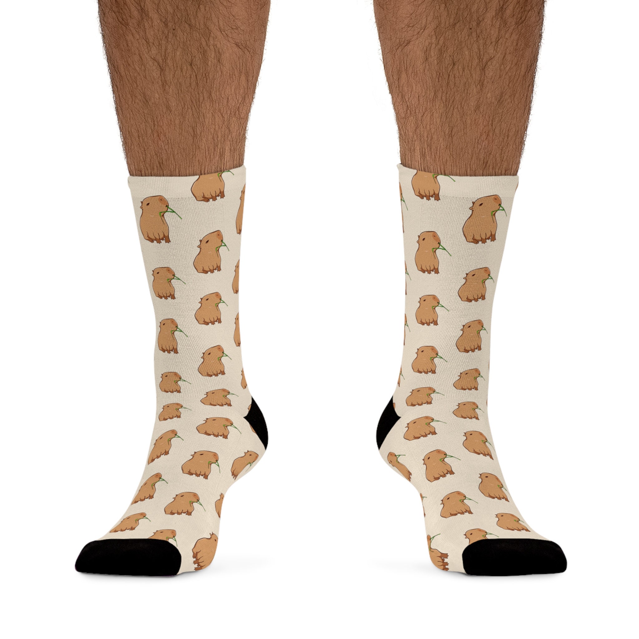 Capybara Socks, Cute Capybara Socks, Kawaii Animal Drawings, Gift for ...