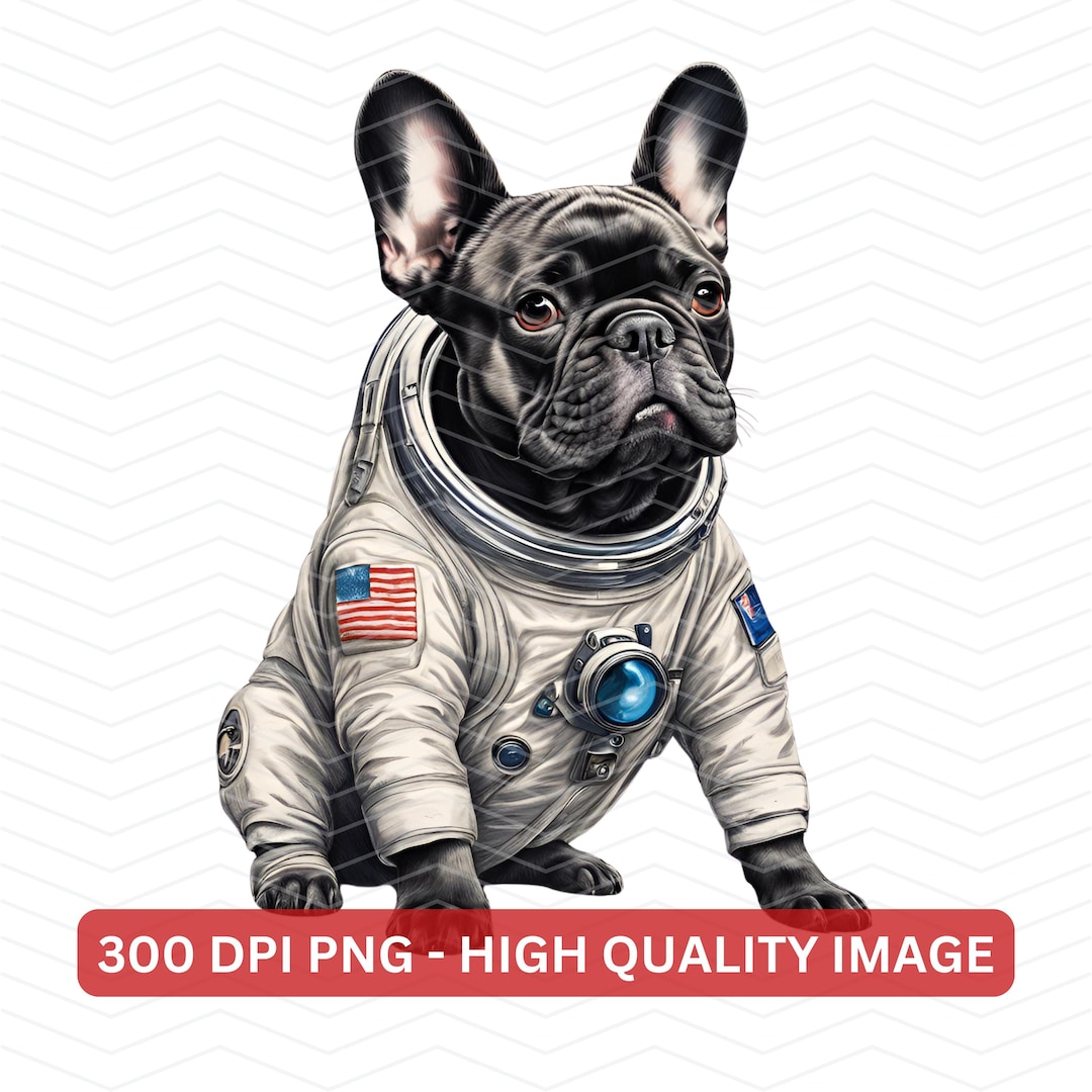French Bulldog Astronaut PNG, Frenchie Astronaut PNG, French Bulldog ...