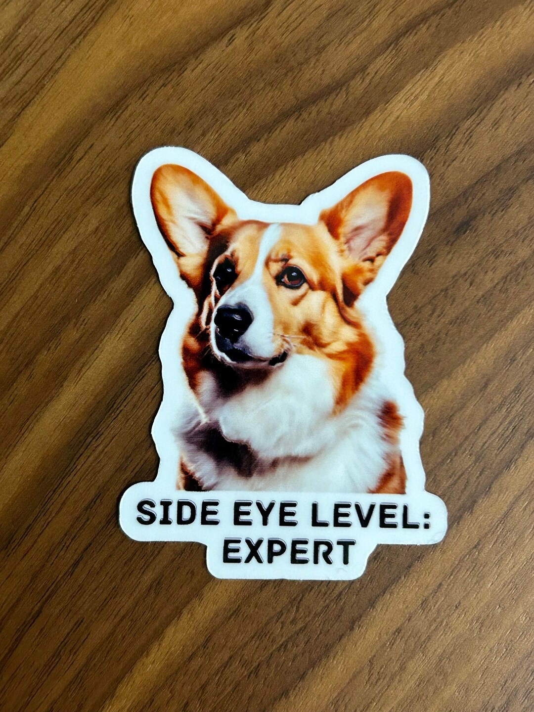 Corgi Sticker. Side Eye Level: Expert. Funny Corgi Sticker, Sassy ...