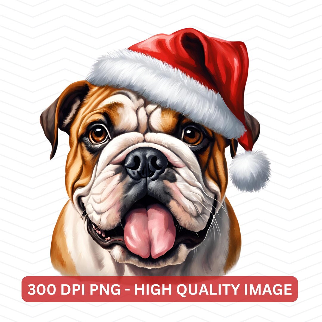Bulldog Santa PNG, English Bulldog Christmas Santa PNG, Bulldog Digital ...